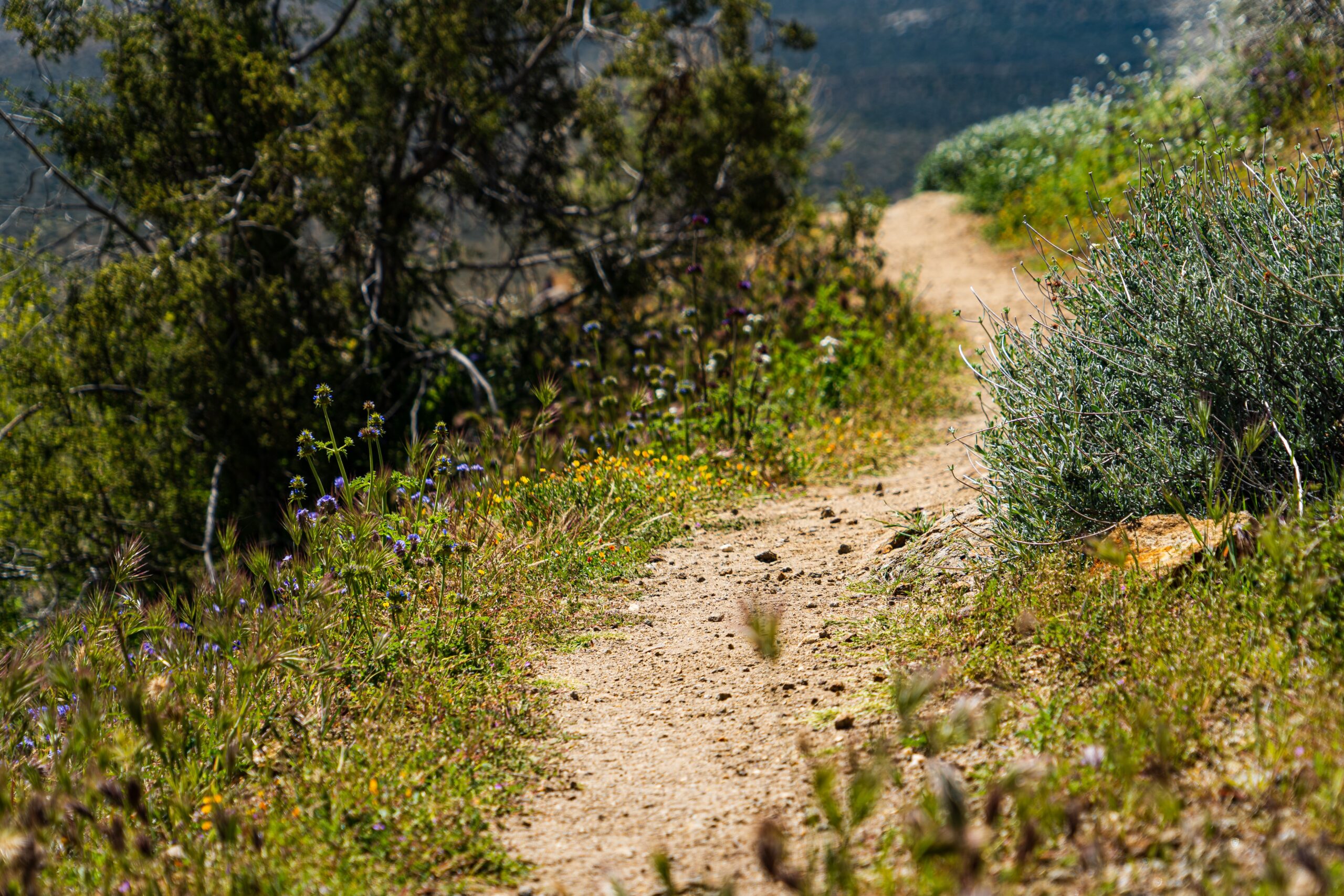 Day 11: Scissors Crossing to Third Gate | Minstrel does the PCT